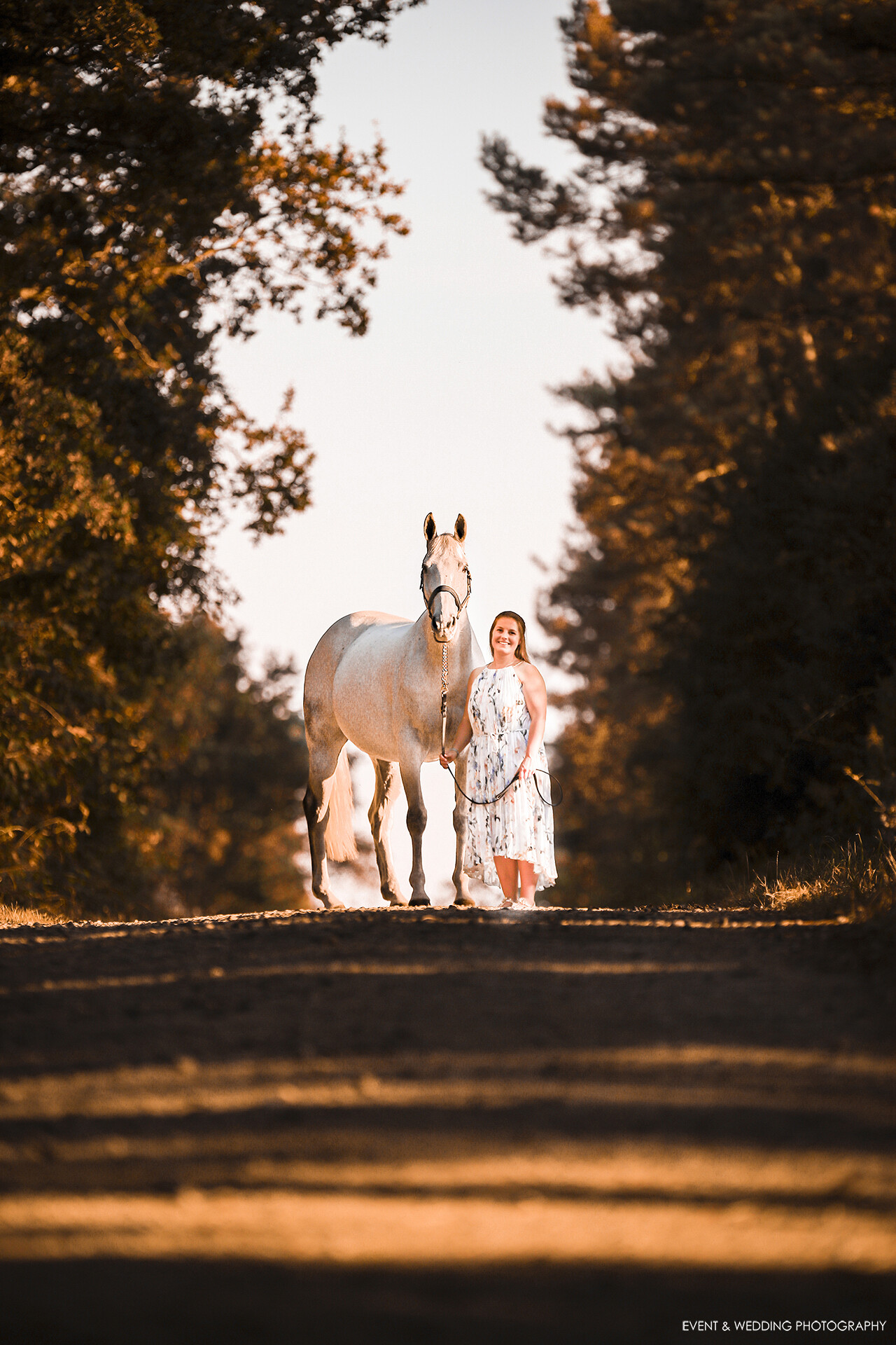 The Ultimate Equine Sunset Photo Shoot