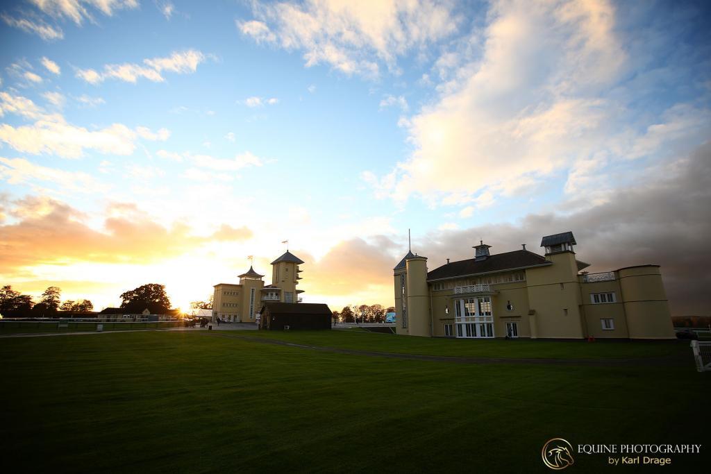 Northants Event Photography - Towcester Racecourse 10/11/16 - 3.45