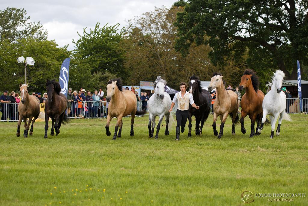 Ben Atkinson Action Horses - Lamport Hall Rural Life - Event and ...