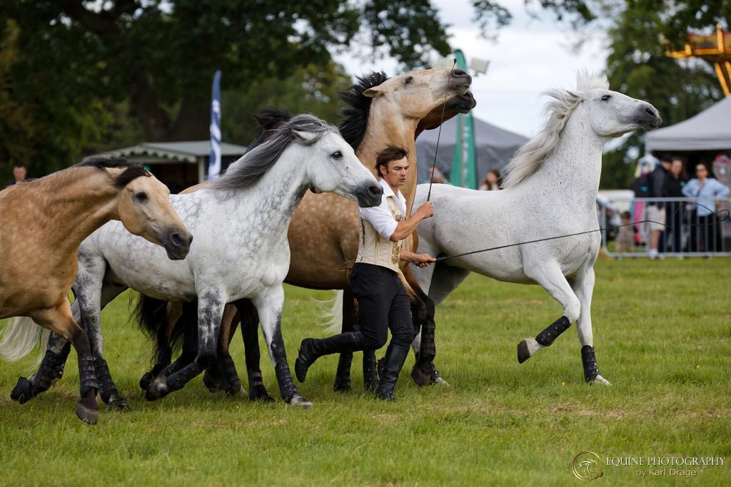 Ben Atkinson Action Horses - Lamport Hall Rural Life - Event and ...