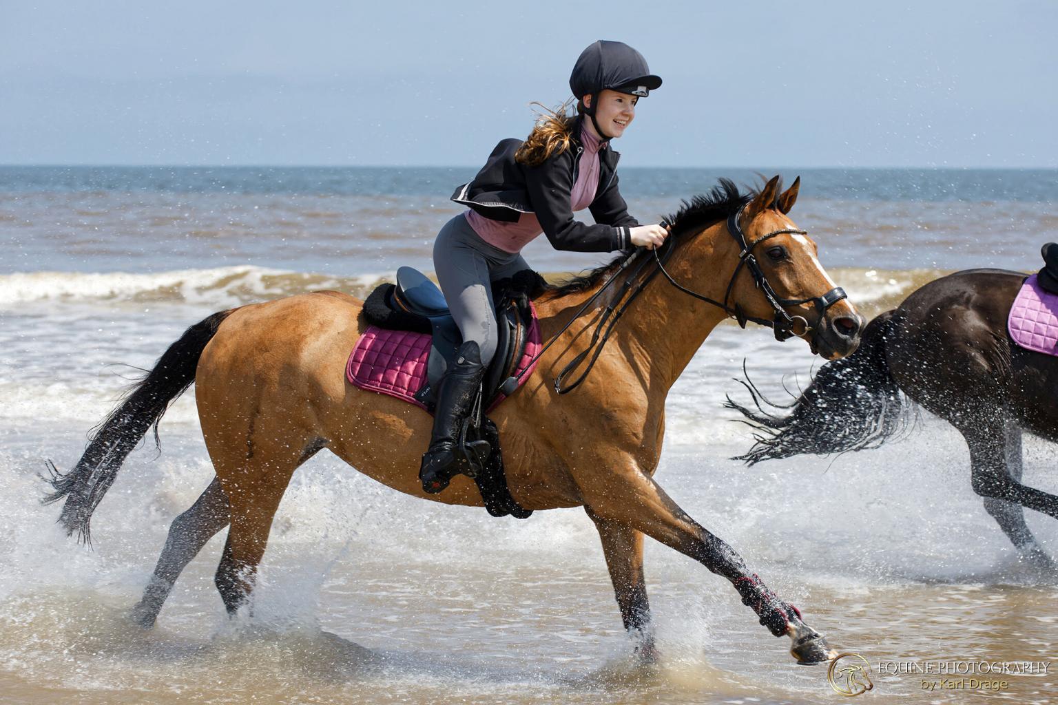 Field Farm Equestrian Centre 2024 - Event and Wedding Photography