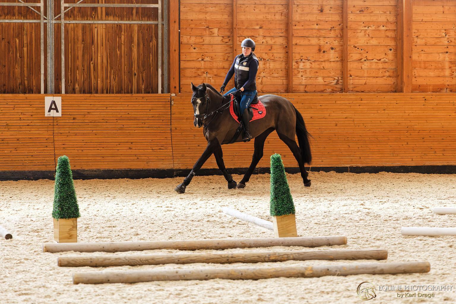 Abbey Farm Dressage Equestrian Centre - Petros Spiliopoulos / H&P ...