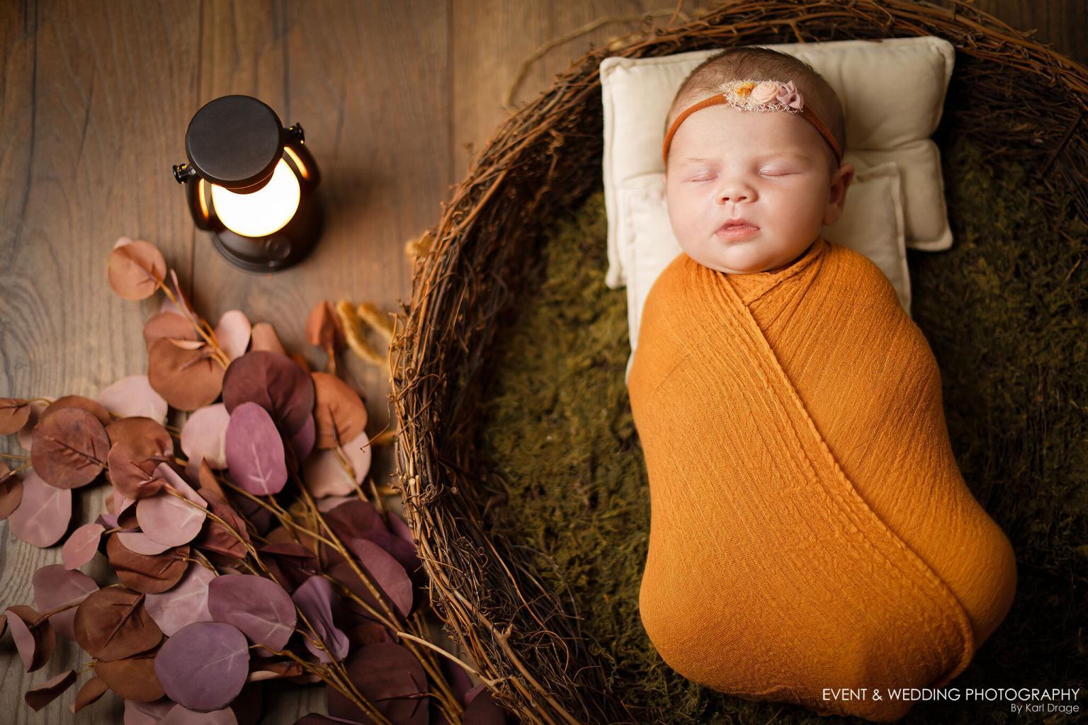 2024 in Review and Looking Ahead to 2025 - Event and Wedding Photography