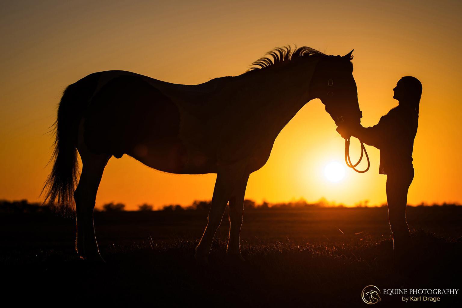 Equine Photography – Sunset Horse & Pony Portraits - Event and Wedding ...